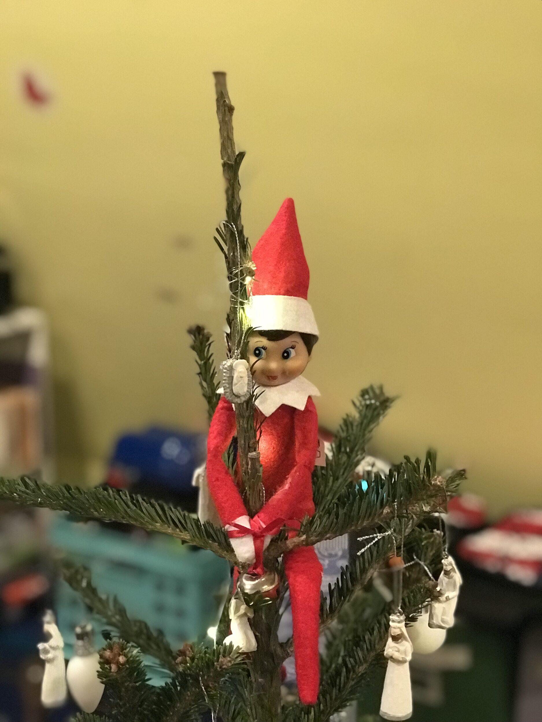 Elfo de Natal: dicas e ideias para diversão em sua casa - Blog iad